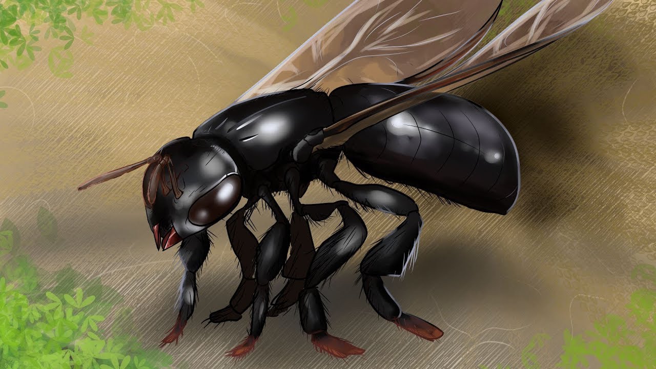 NUEVAS MANCUERNAS DE ABEJAS MEXICANAS MELIPONAS EN EL VIVERO DE ...