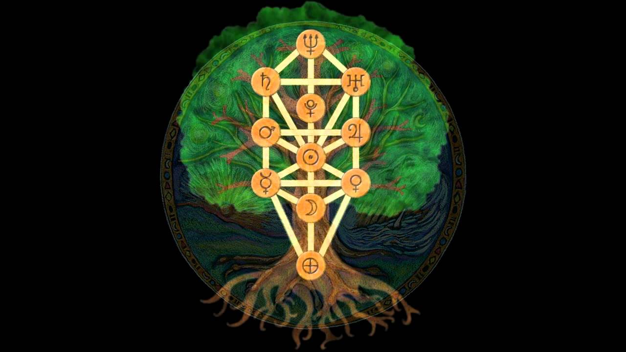 From Trees To One To Be Tree - YouTube