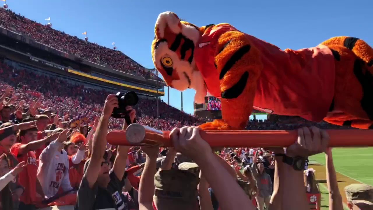 Clemson mascot does pushups after the touchdown - YouTube