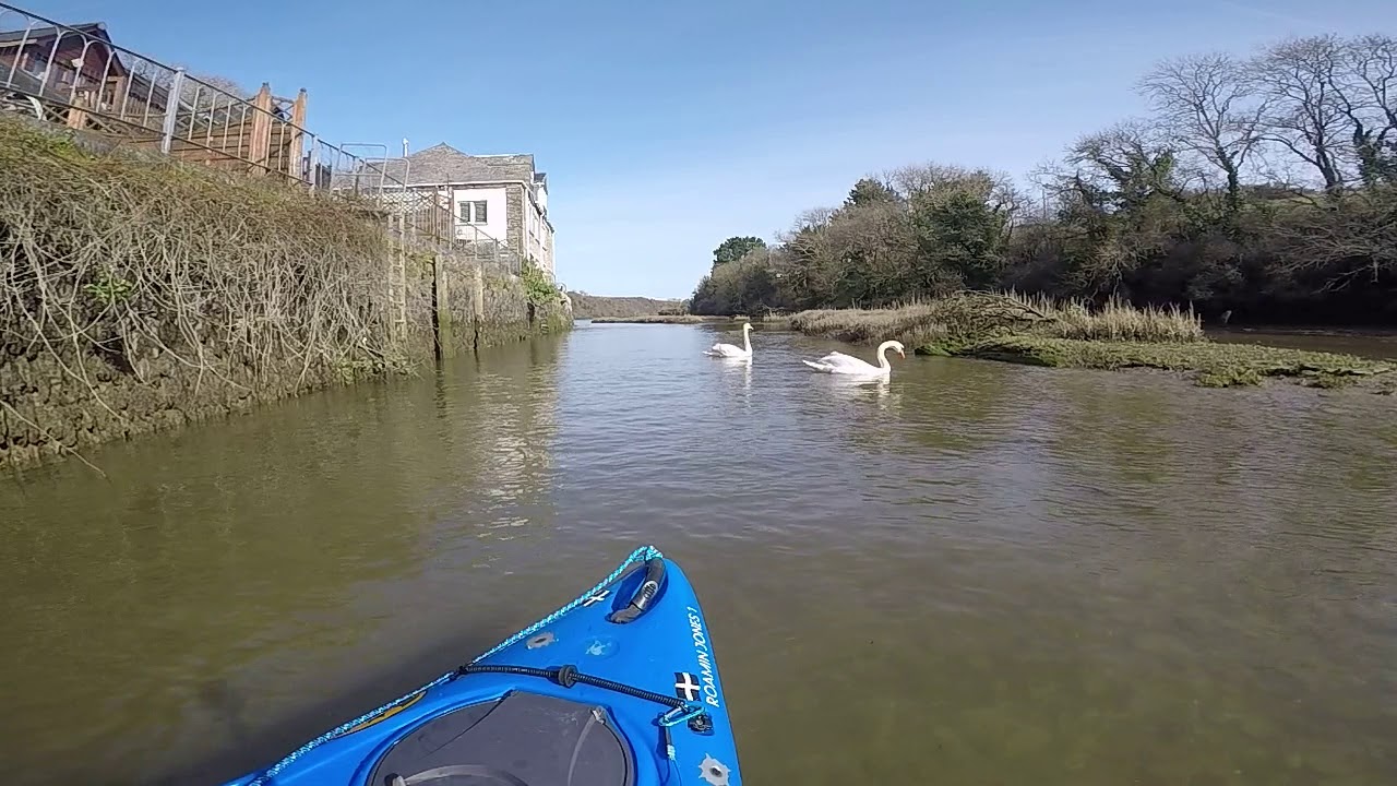 Little Petherick creek paddle off the estuary Padstow - YouTube