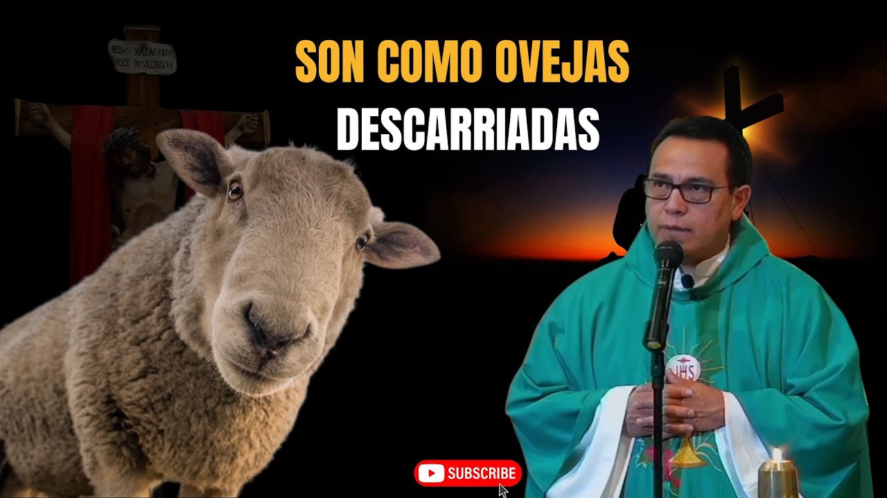 🔴SON COMO OVEJAS DESCARRIADAS📘Padre Marcelo López🔴Evangelio de Hoy-# ...