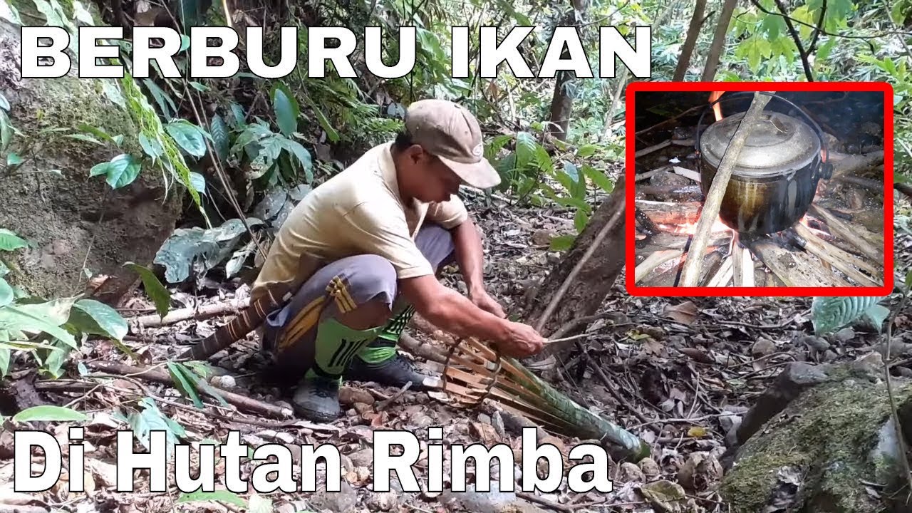 MENCARI IKAN DI DALAM HUTAN RIMBA PETUALANGAN ADVENTURE WILD FISHING ...