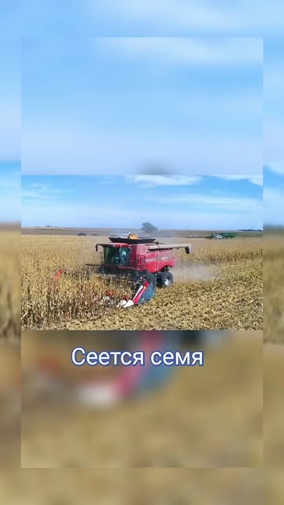 ЛЮБОВЬ ИЛИ ЖЕРТВА? ЯКОВ ЛЕВЕН. #сеетсясемя - YouTube