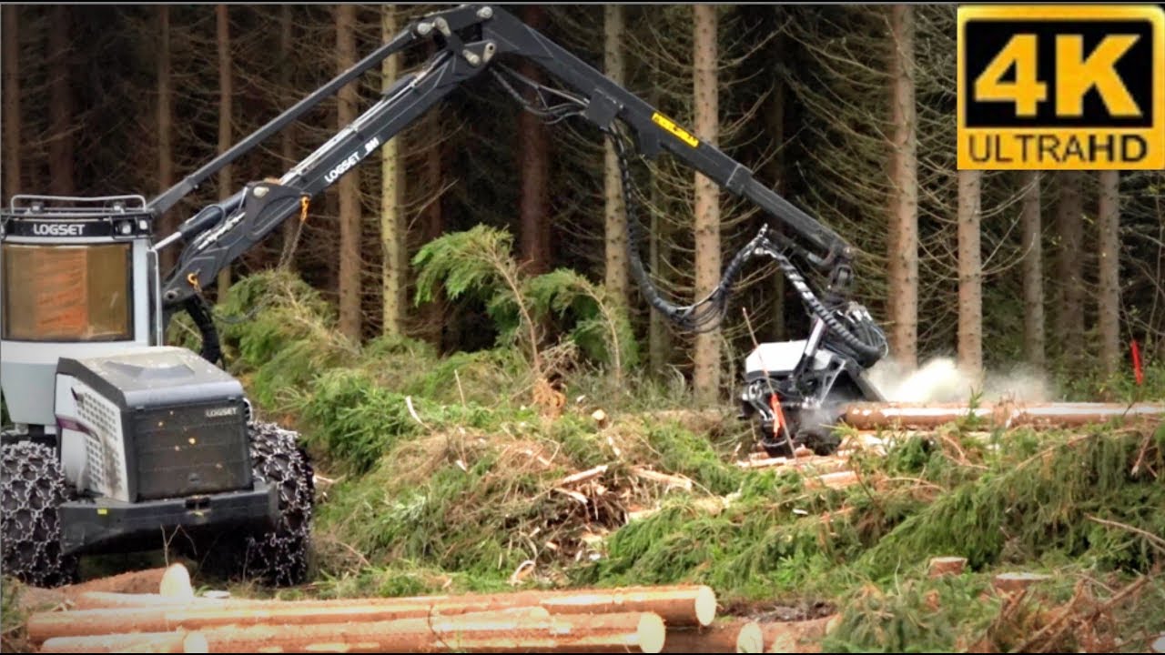 LOGSET 8H with TH65 harvester head 4K ULTRA HD 2160p - YouTube