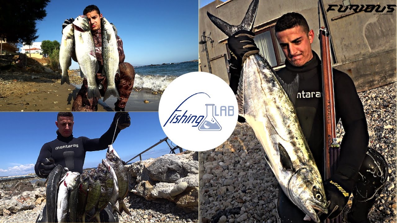 Shallow Spearfishing - Βολές στα ρηχά...(Λίτσα , Γοφάρι, Λαβράκια ...