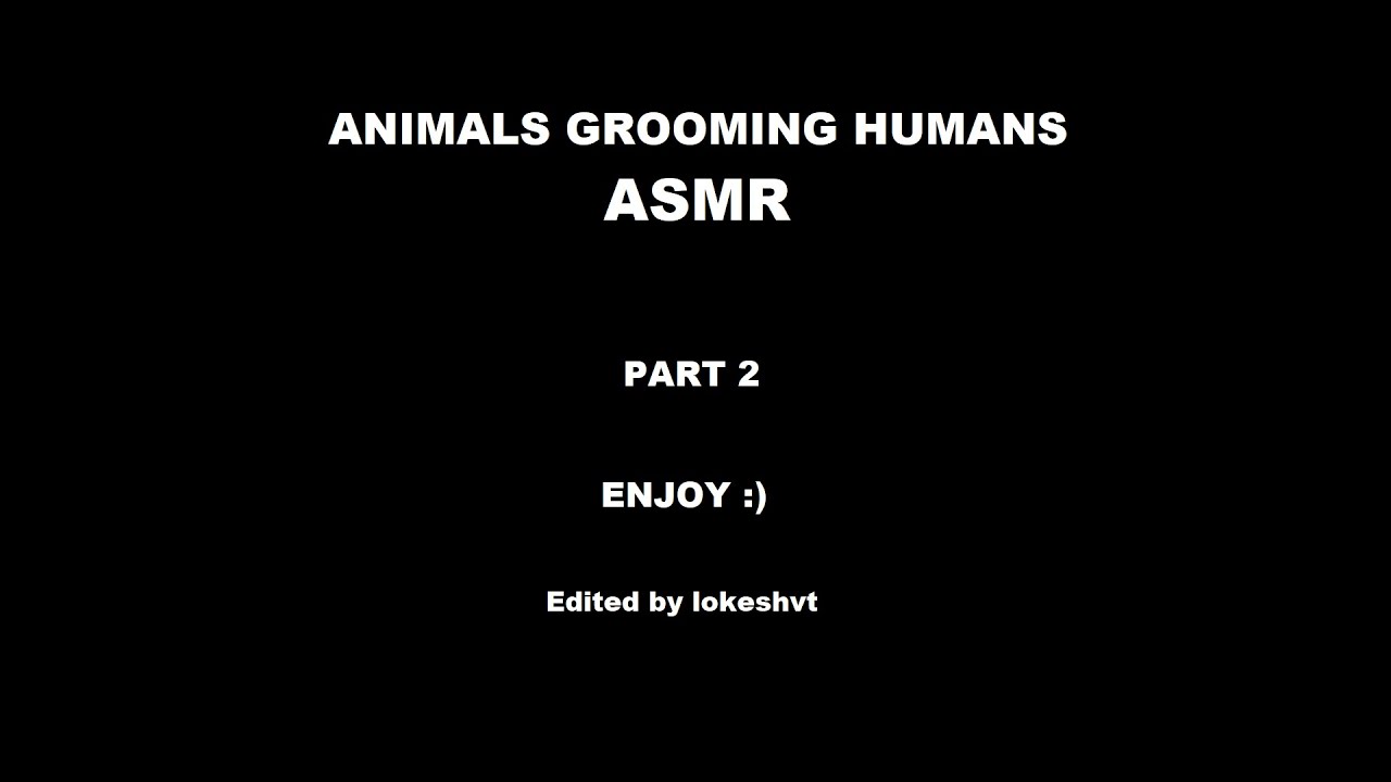 Animals Grooming Humans ASMR Compilation Part 2 - YouTube