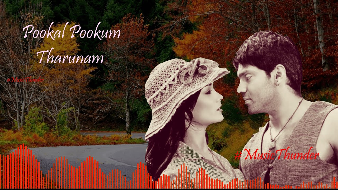 Pookkal Pookkum | Madharasapattinam | Lyrics Cover | Love Song | Aarya ...