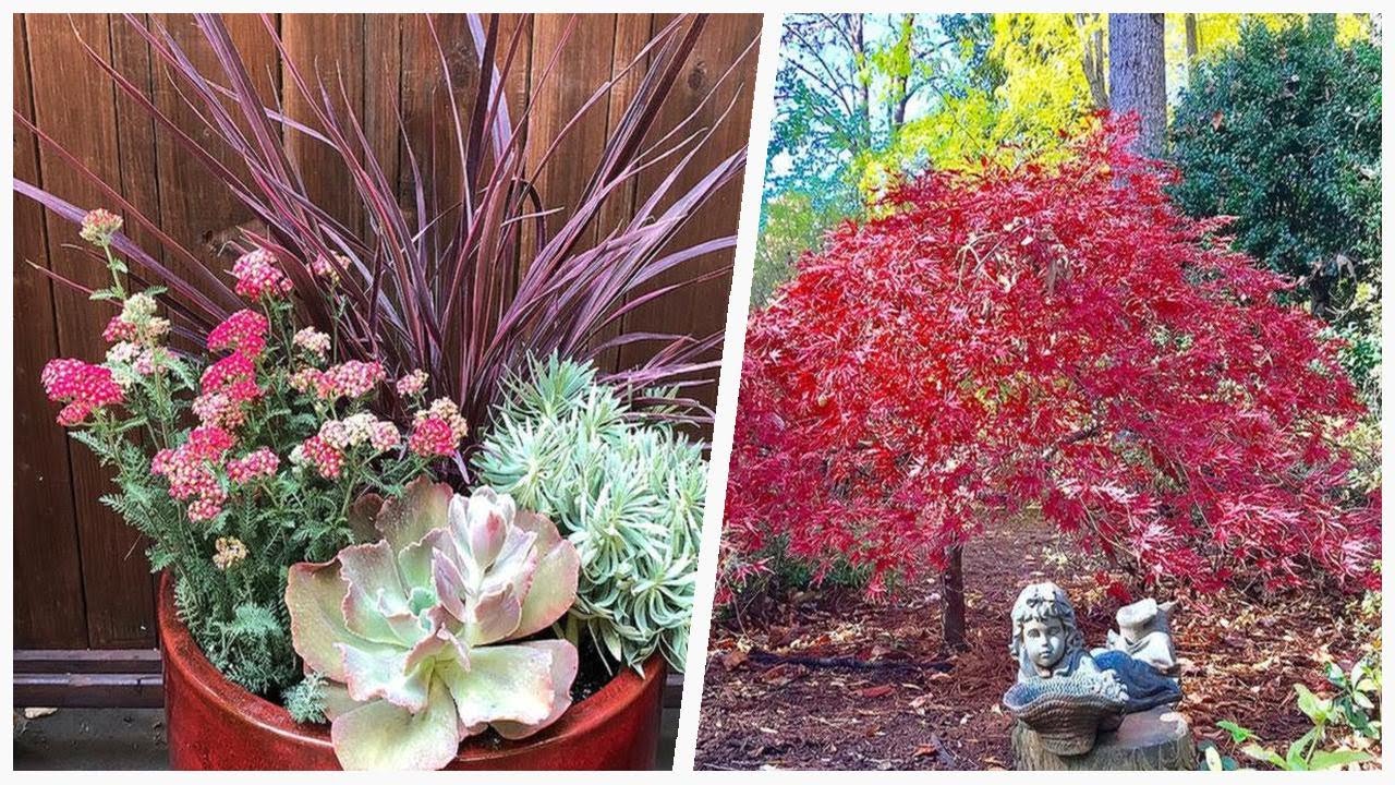 75 Red Landscaping Design Ideas You'll Love 😊 - YouTube