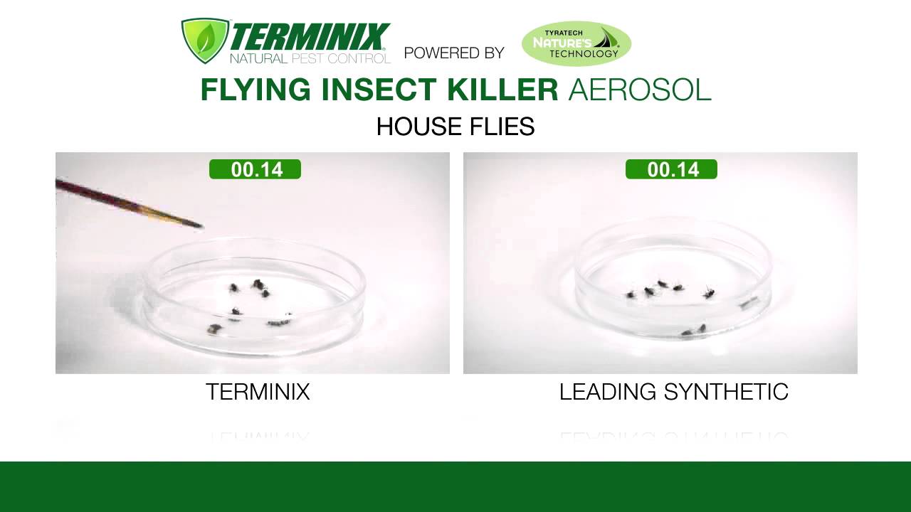 Terminix Natural Flying Insect Killer (Aerosol) - YouTube