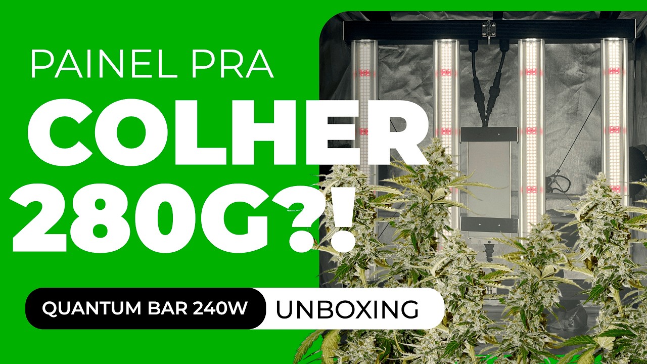 Unboxing Painel de LED Quantum Bar 240W LM281B+ | - YouTube
