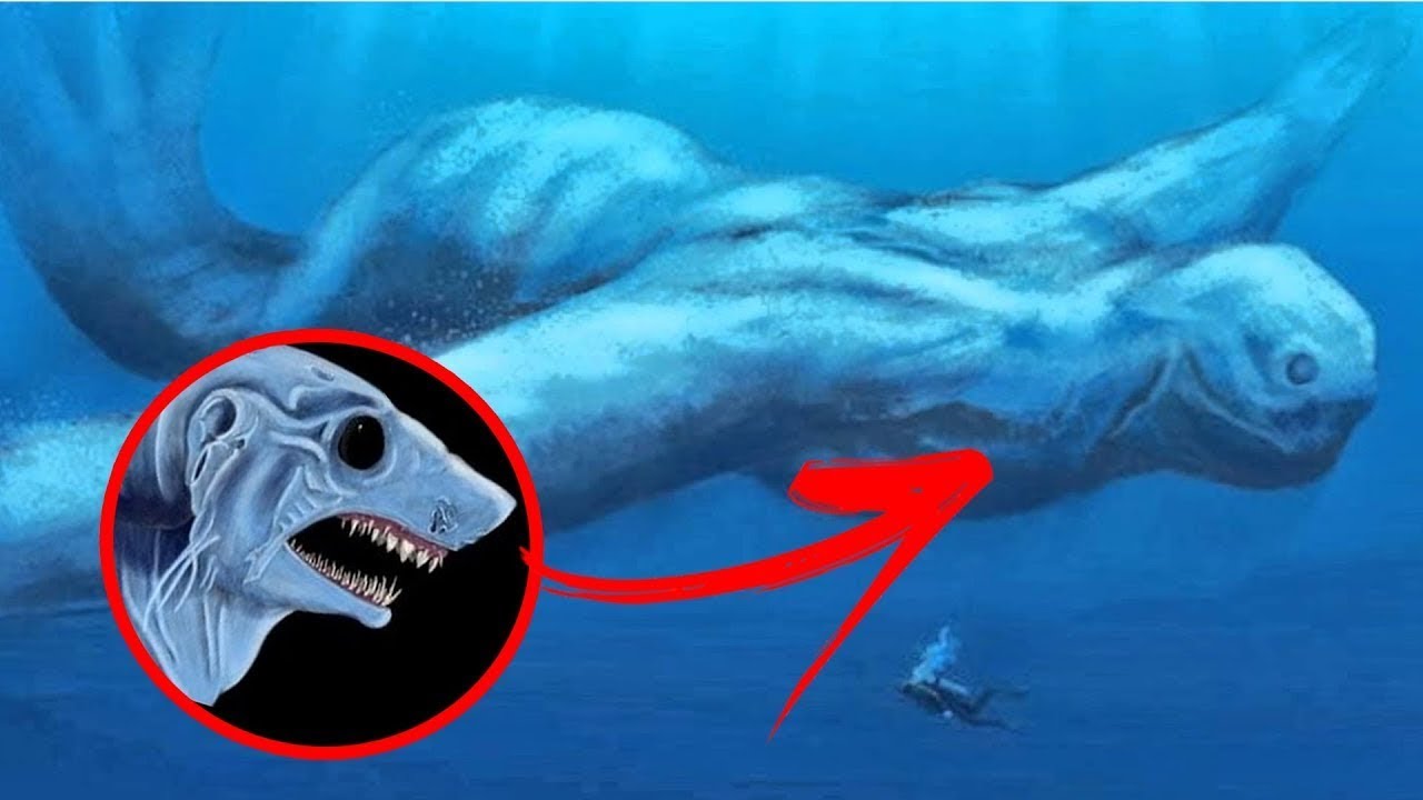 EL NINGEN LA MISTERIOSA CREATURA - YouTube