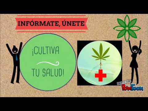 Cultiva tu salud - YouTube