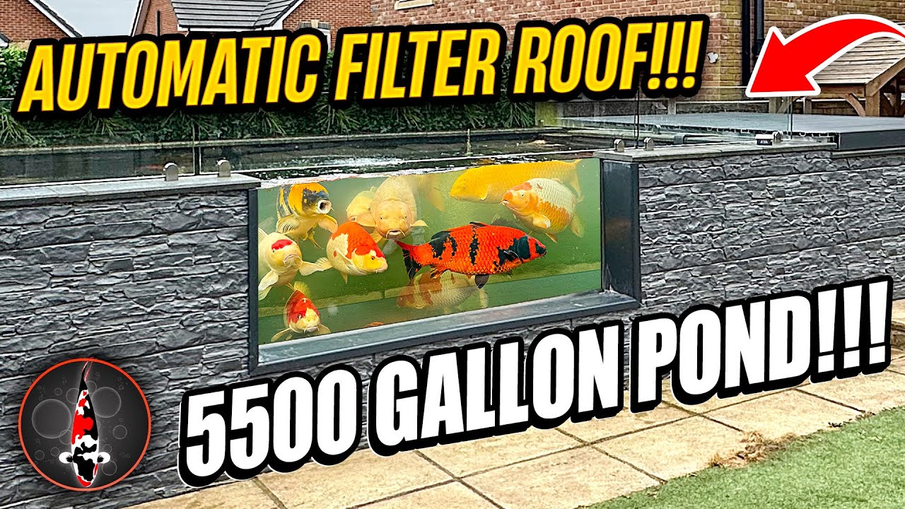 5500 GALLON POND! AUTOMATIC ROOF!! **RE-VISIT** - YouTube