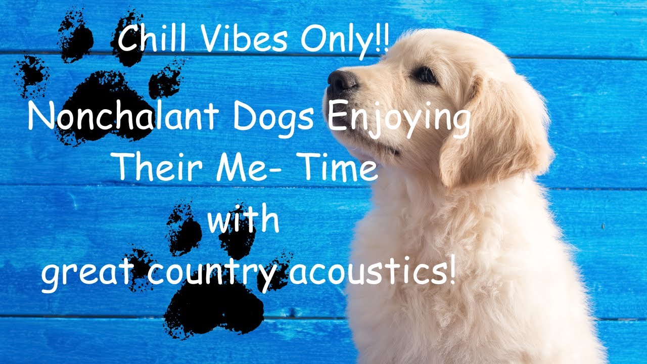 Chill Vibes Only: Nonchalant Dogs Enjoying Their Me-Time with great ...