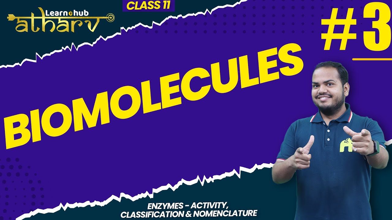 Biomolecules Class 11 Biology NCERT Chapter 11 #3 | Enzymes | Atharv ...