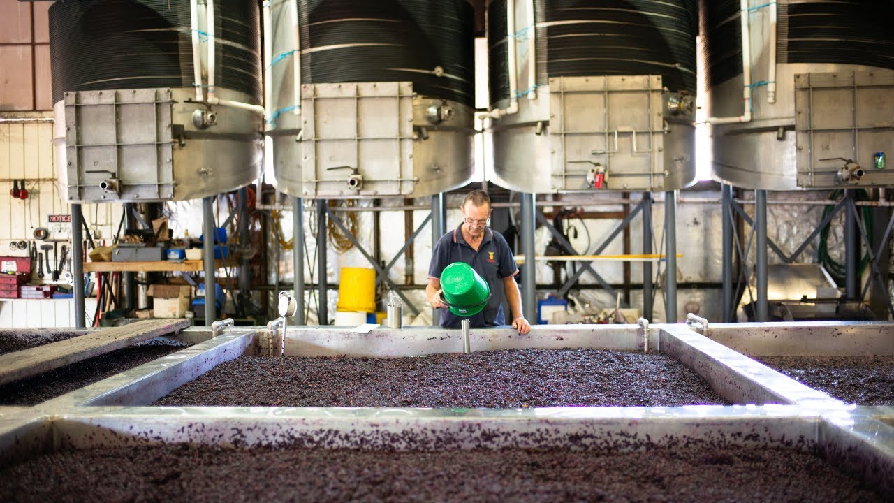 Dan Redman - Winemaking Points of Difference - YouTube