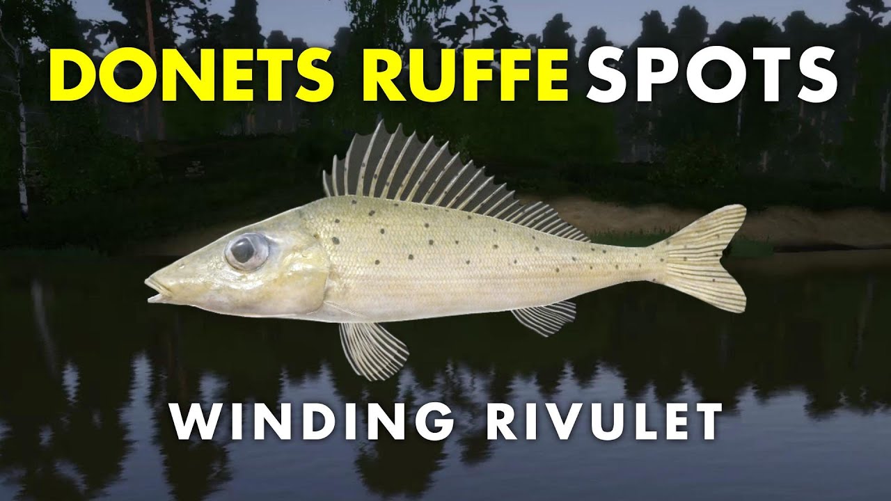 Russian Fishing 4 DONETS RUFFE SPOT Winding Rivulet - YouTube