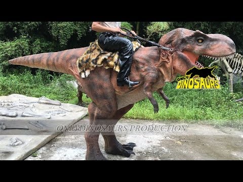 Super Realistic T-Rex Rider Suit DRS-02 - YouTube