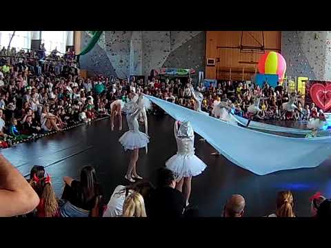 Beroun Cup 2018 - Pod vrbou