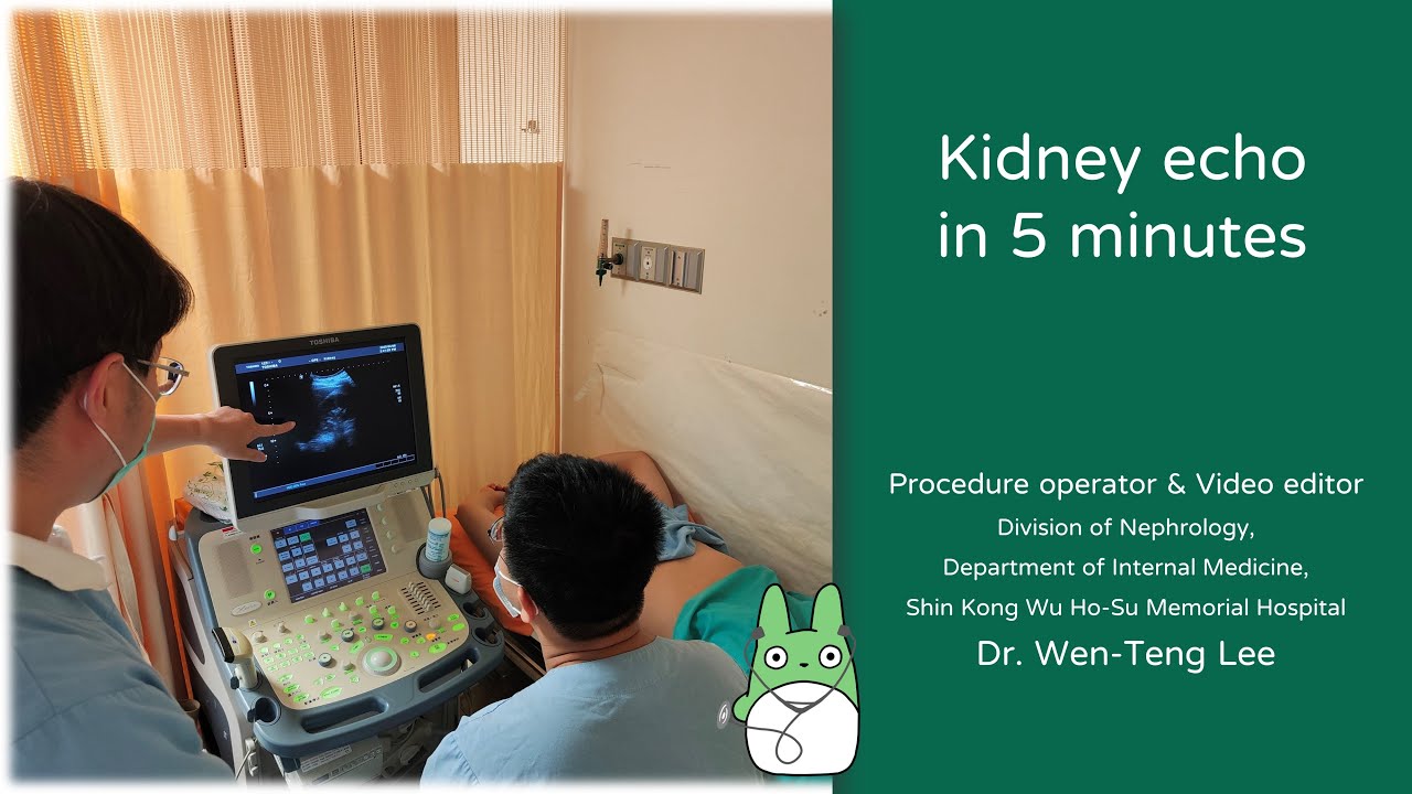 Kidney echo in 5 minutes [4K60p] - YouTube