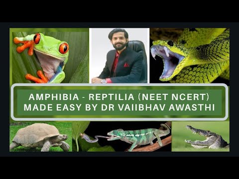 Animal kingdom | Lecture 9 | Class Amphibia | Class Reptilia | NCERT ...