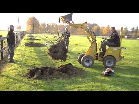 Boom planten - YouTube