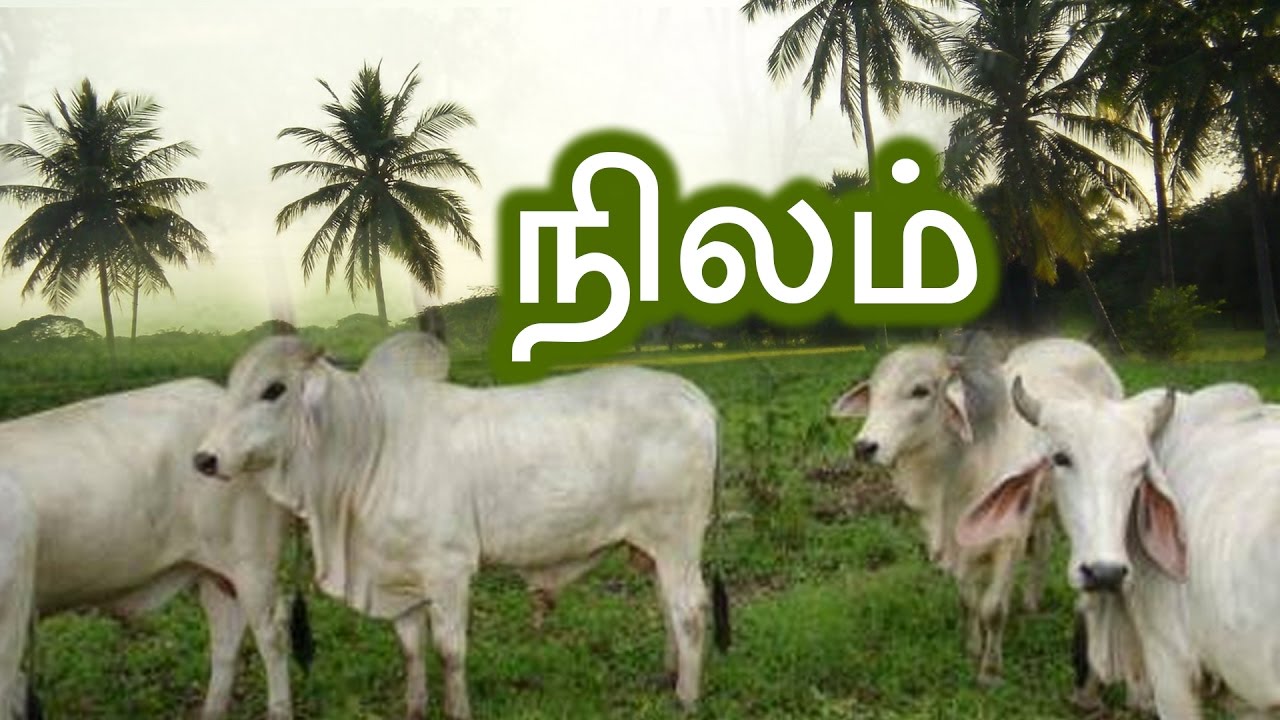 Nilam Tamil Short Film | நிலம் - தமிழ் குறும்படம் - YouTube