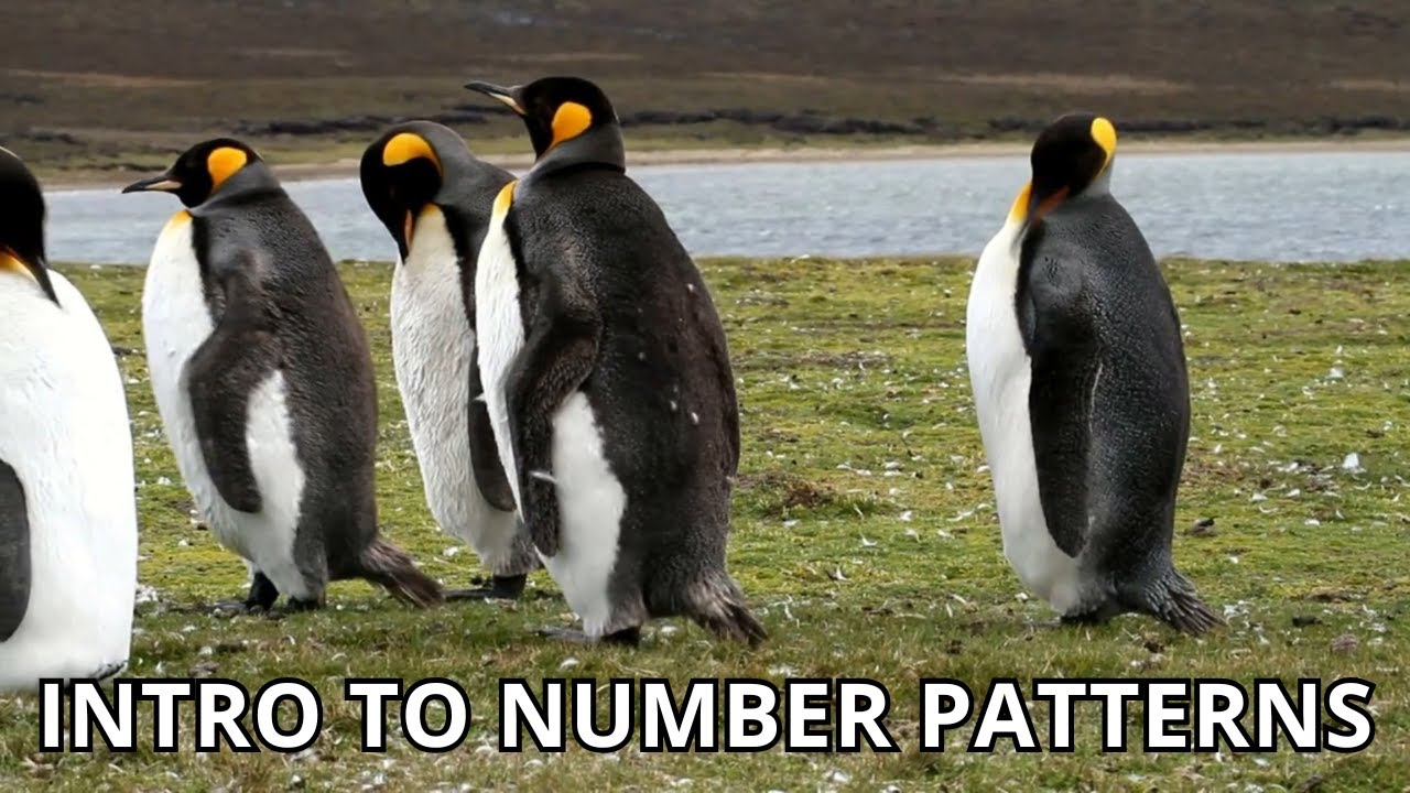 Introduction to number patterns for 5th grade math. - YouTube