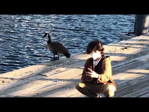 Vlog with Elmer and Alahna (Vlog #5) - Sturniolo Triplets