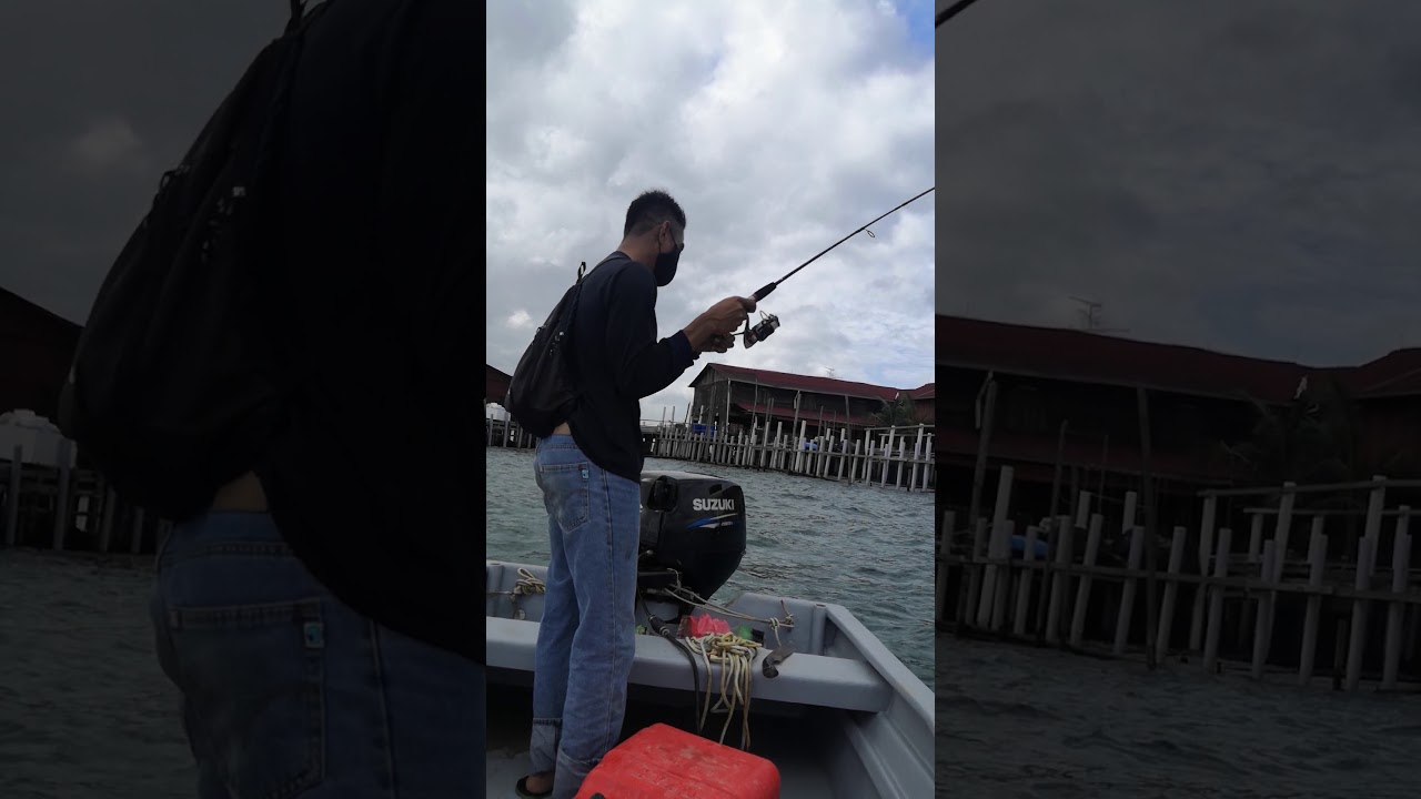 Mancing apollo di kelong dapat caping..apollo fishing at kelong got ...