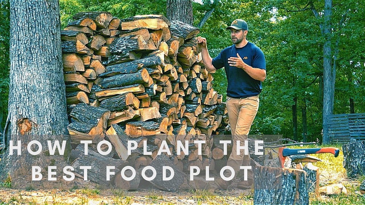 BEST planting method for successful FOOD PLOTS!!! - YouTube