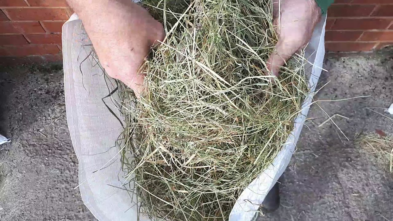 Soft Hay - YouTube