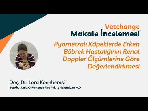 Pyometralı Köpeklerde Erken Böbrek Hastalığının Renal Doppler Ölçümlerine Göre Değerlendirilmesi