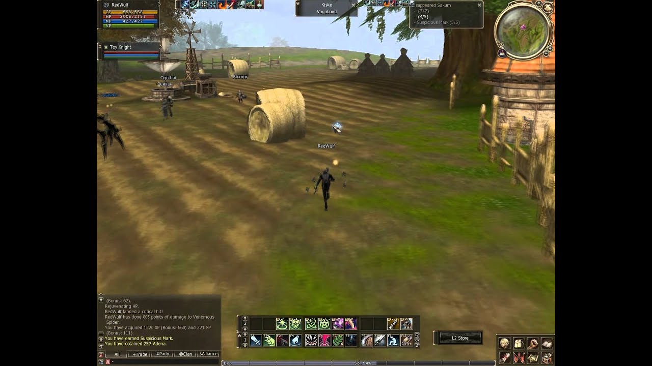 Lineage 2 RedWulf Adventures episode 15 - YouTube