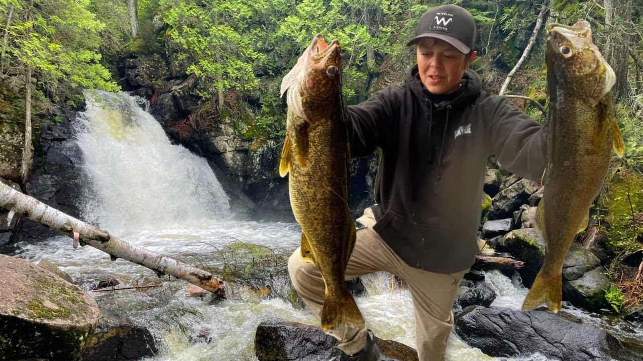 BWCA Wilderness Walleye Catch and Cook! - YouTube