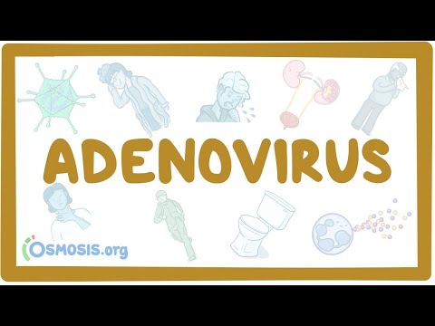 Adenovirus - an Osmosis Preview