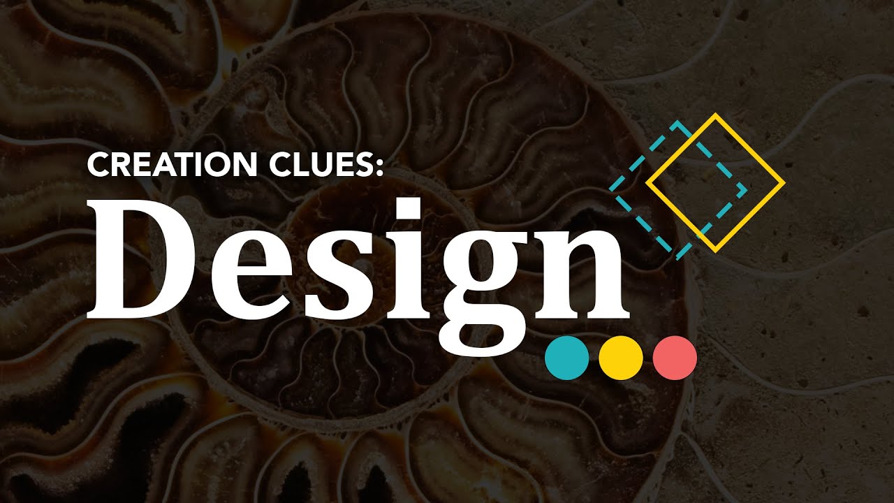 The importance of logic and design for evidence of God [CREATION CLUES ...