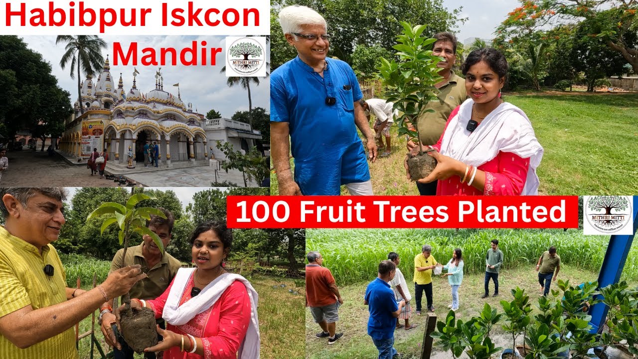 Habibpur Iskcon Temple 100 Trees Planted By Mithri Mitti হাবিবপুর ইসকন ...