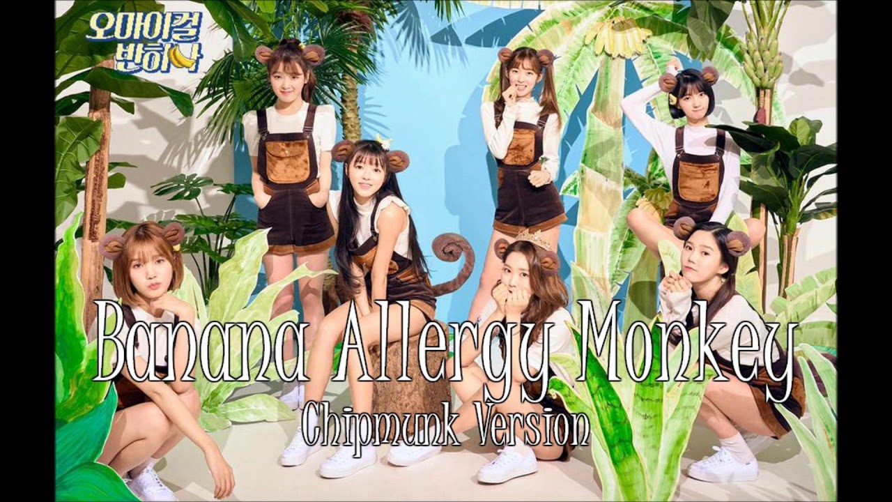 OH MY GIRL BANHANA - Banana Allergy Monkey [Chipmunk Version] - YouTube