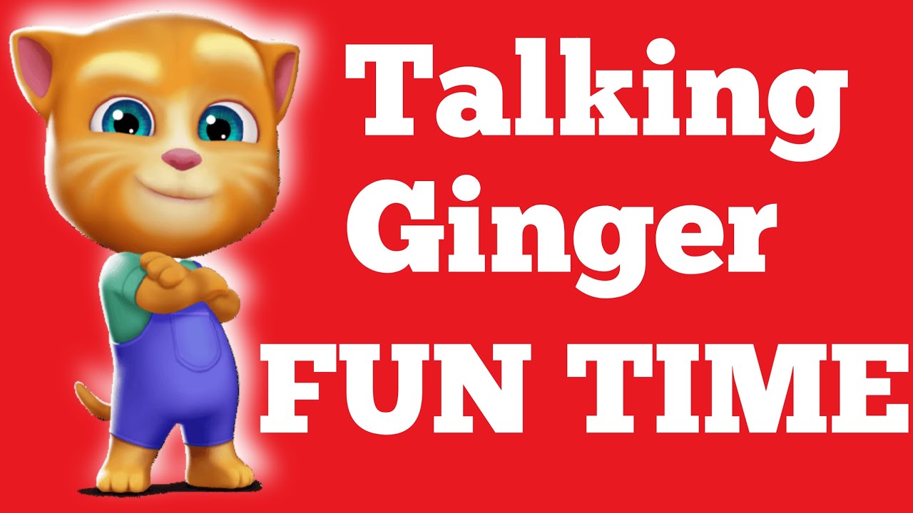 Talking Ginger! 2K SUBS 🥳 Let's Go #youtubeshorts #shorts #shortsvideo ...