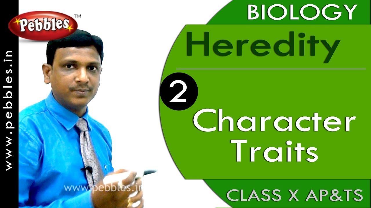 Character Traits : Heredity | Biology | Science | Class 10 - YouTube