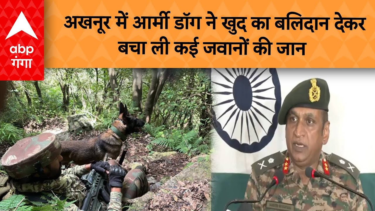 J&K News: हमने एक Army Dog को भी खोया: Akhnoor encounter पर Maj Gen ...