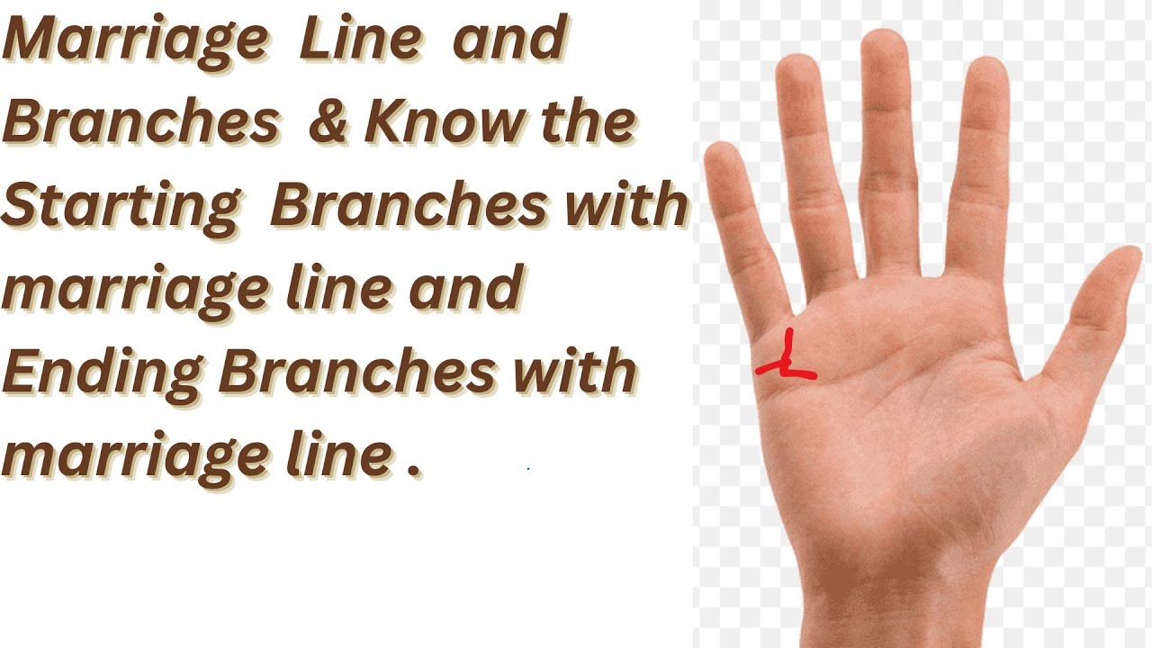 Palmistry - How to work Marriage line and its Branches - YouTube