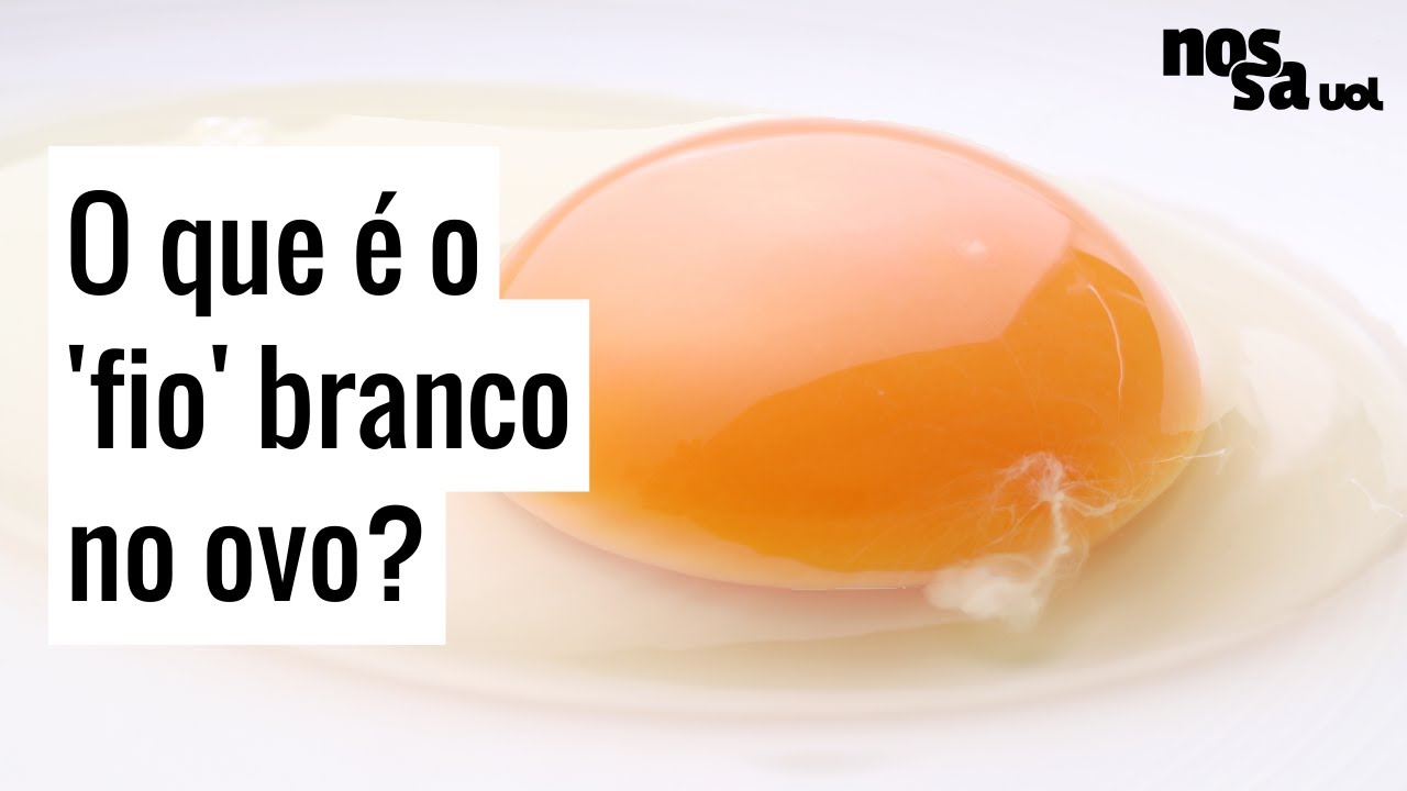 Embrião? O que é o 'fio' branco ao redor da gema do ovo - YouTube
