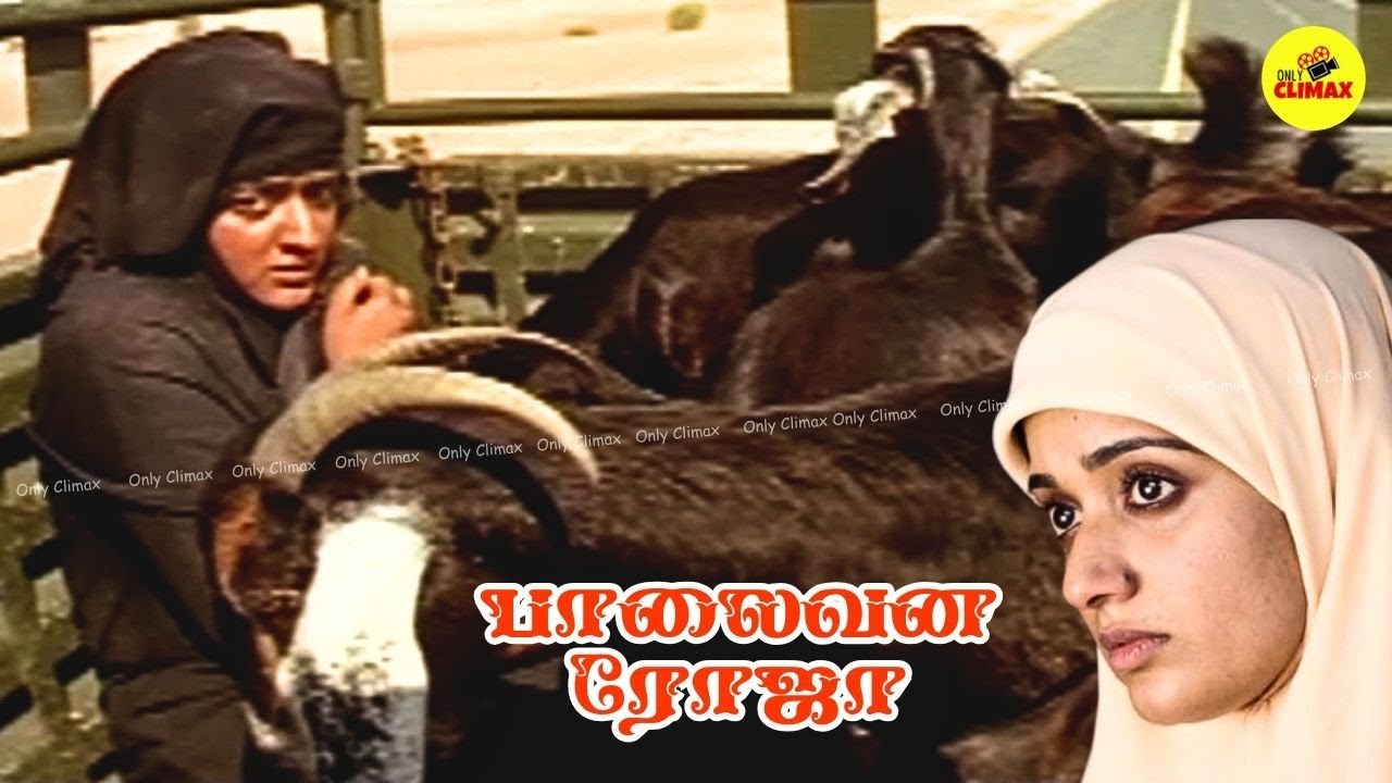 Palaivana Roja Full Movie HD | Kavya Madhavan Struggles in Saudi Arabia ...
