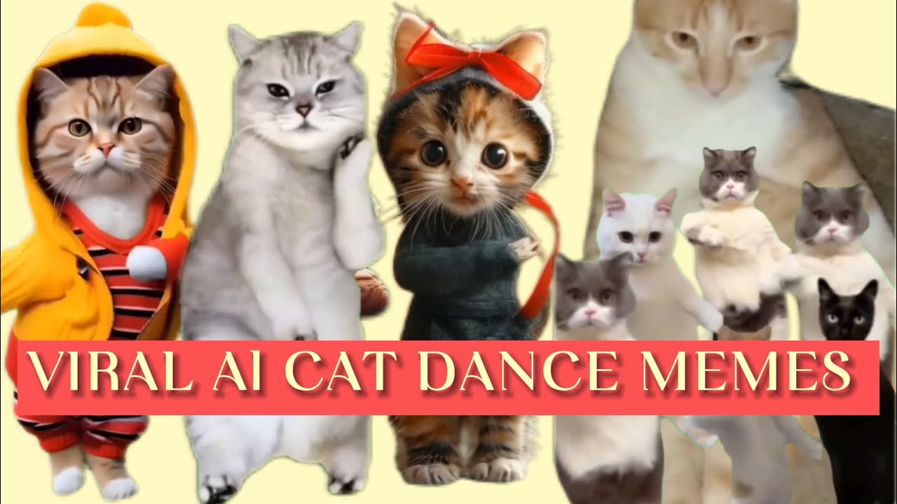 WHO IS THE BEST CAT DANCE MEMES? - YouTube