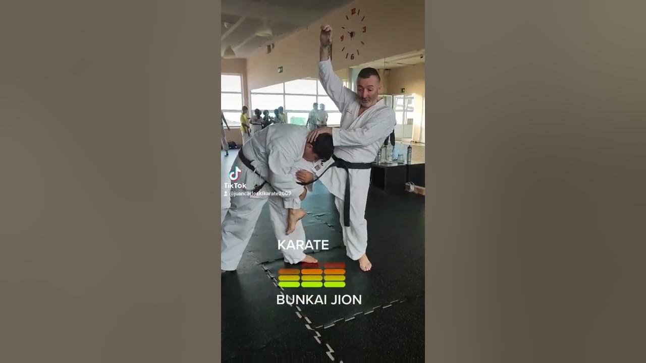 BUNKAI KATA JION - YouTube