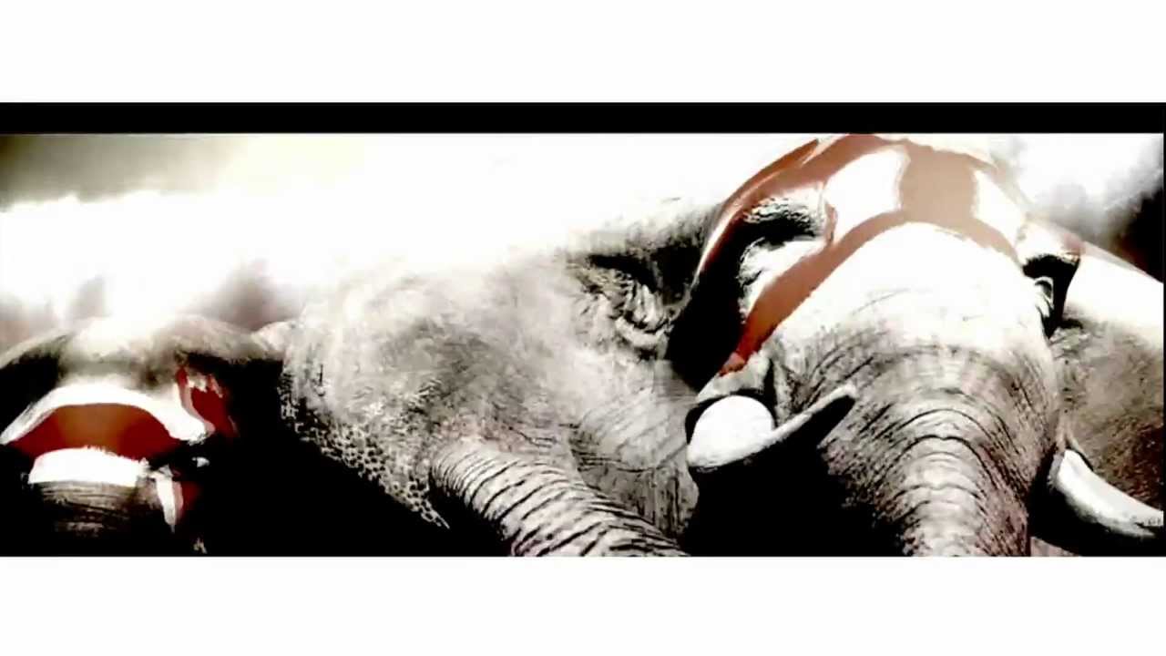 GO BAMA-CRIMSON TIDE THEME SONG - YouTube