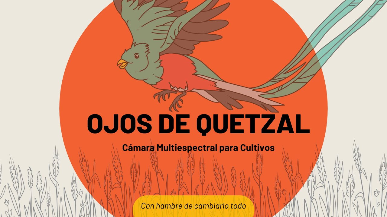 Ojos de Quetzal - Xignux Challenge 2024 - YouTube