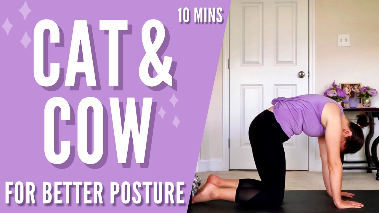 CAT/COW POSE - Beginner Yoga - How-To: CHAKRAVAKASANA - YouTube